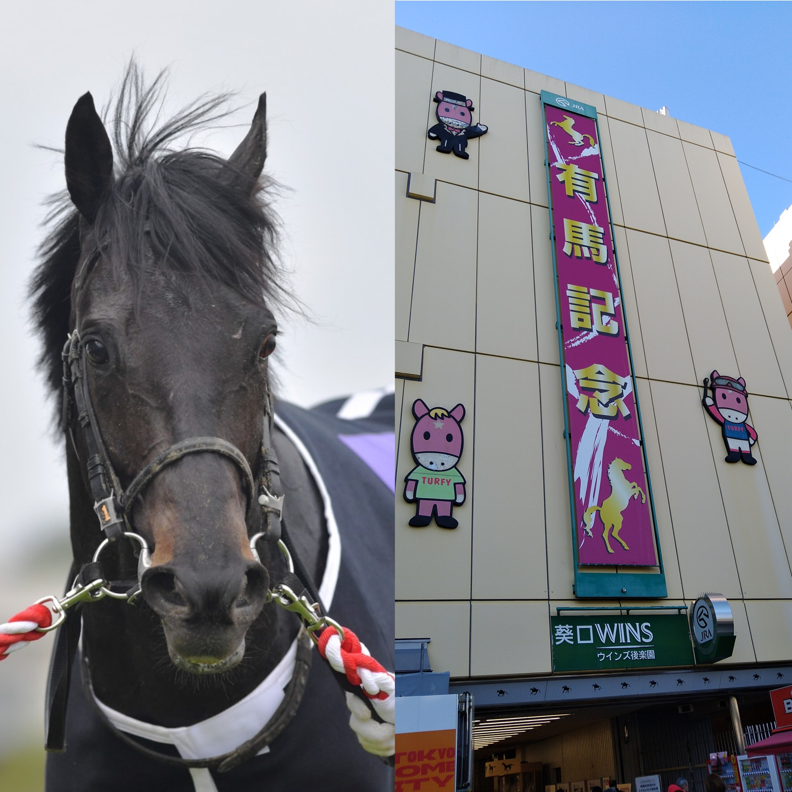 今日！有馬記念「どの馬が勝ってもおかしくない」大混戦の“戦国有馬”で何が勝敗を分けるのか…浮かび上がった注目の4頭とは？ – ページ 2 – 本格スポーツ議論ニュースサイト「RONSPO」